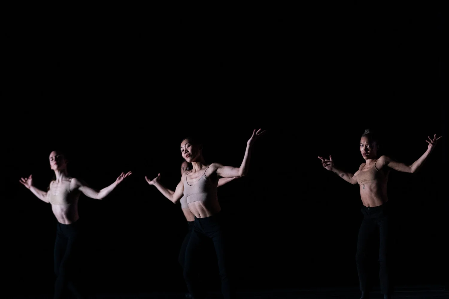 17th Annual SPRING TO DANCE® Festival | May 23 & 24, 2025 — DANCEstl