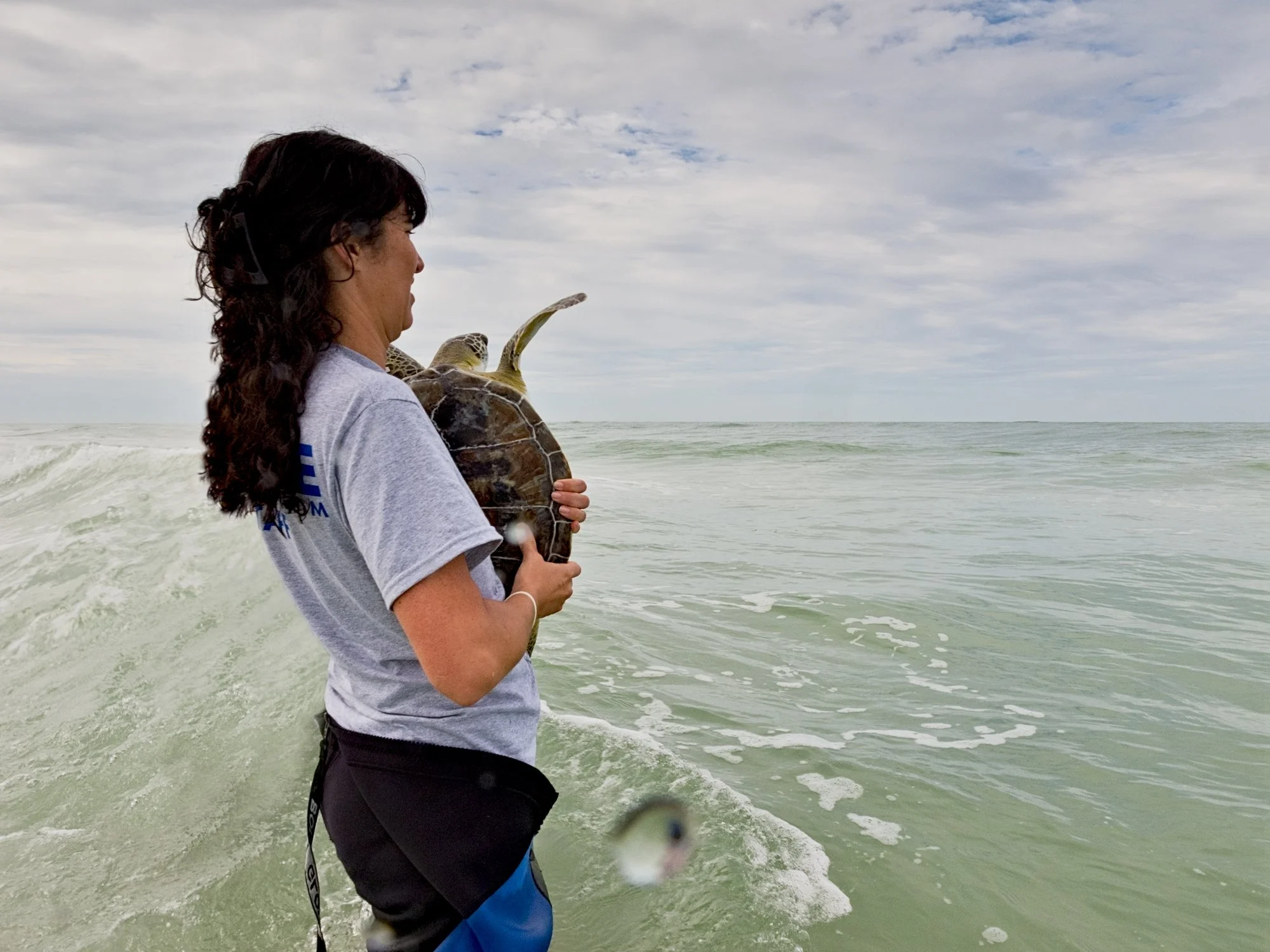 Memphis Barbree Photographs