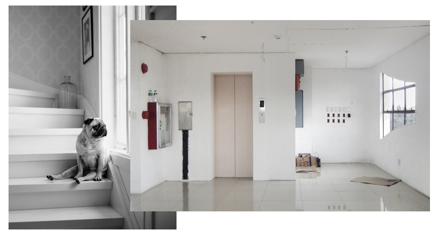 The 5 questions designers ask before buying furniture and why you ...