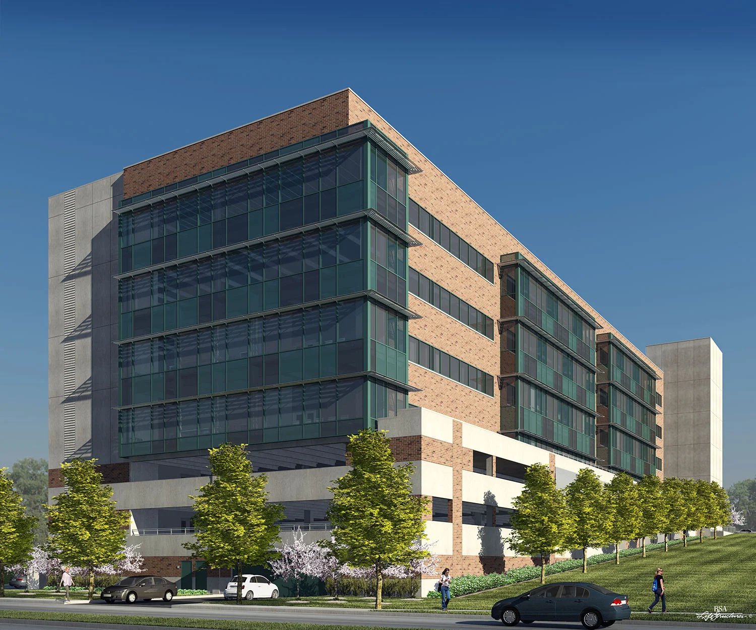 BSA LifeStructures - Kansas City — Brack & Associates