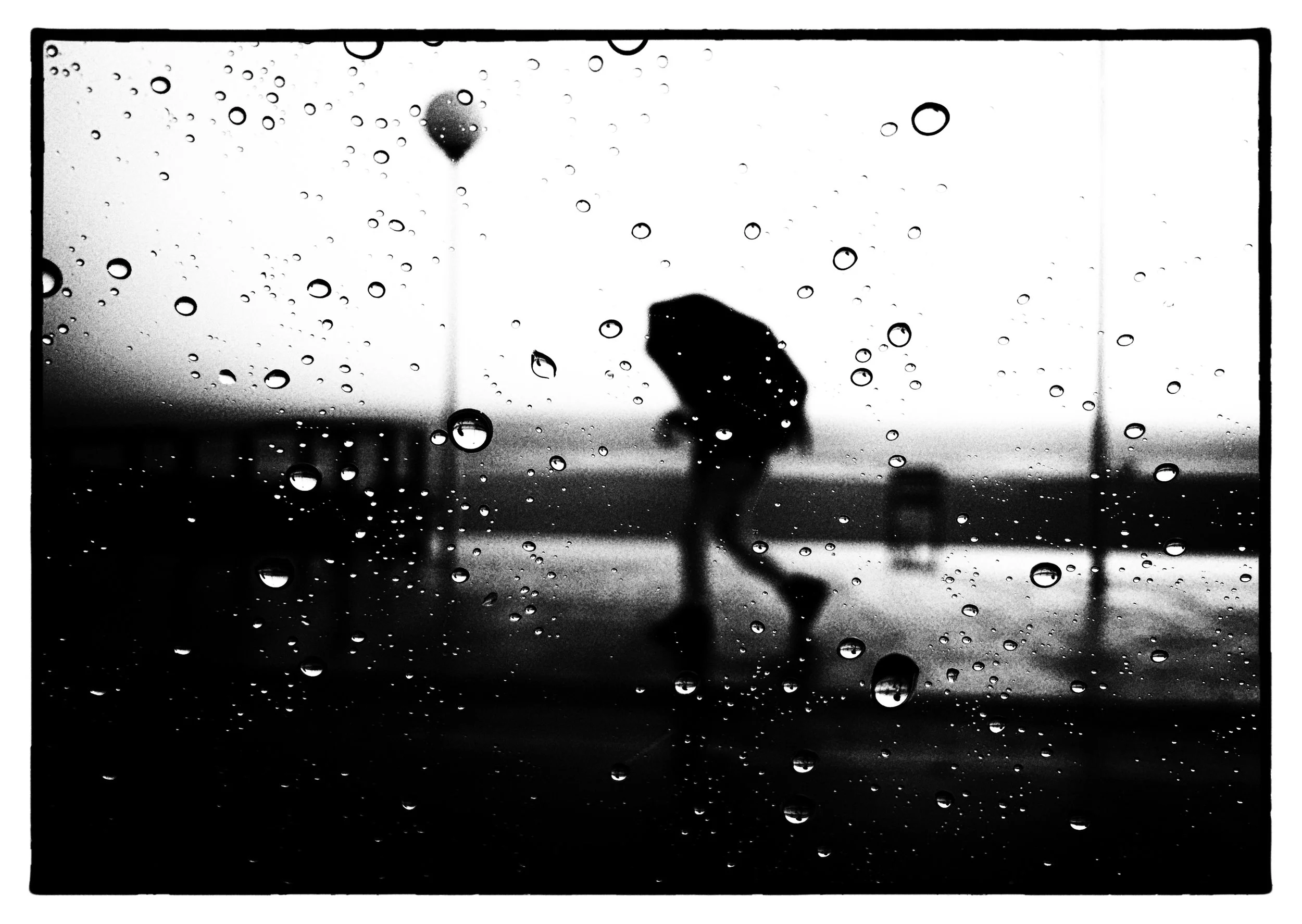 RANDOM B&W — SUSPENDED ANIMATION