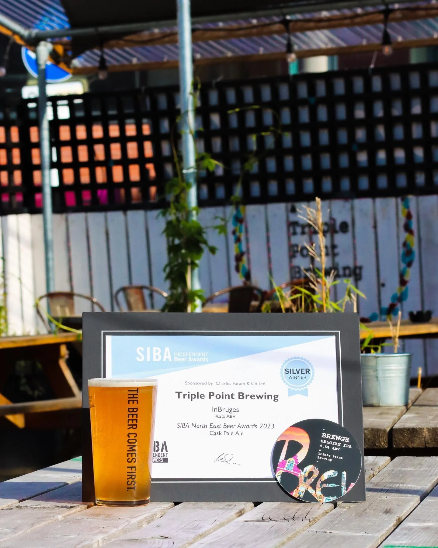 Our Story — Triple Point Brewing