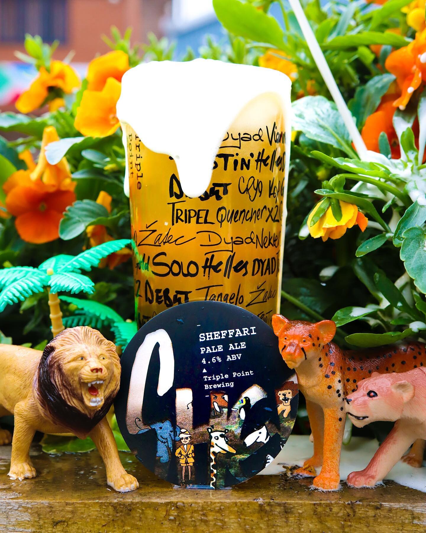 Our Story — Triple Point Brewing