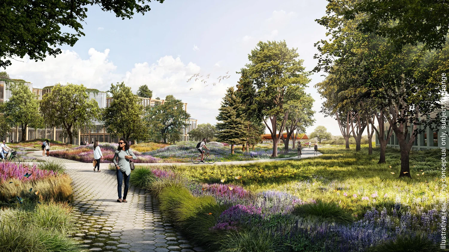 GOOGLE FRAMEWORK PLAN — SITELAB urban studio