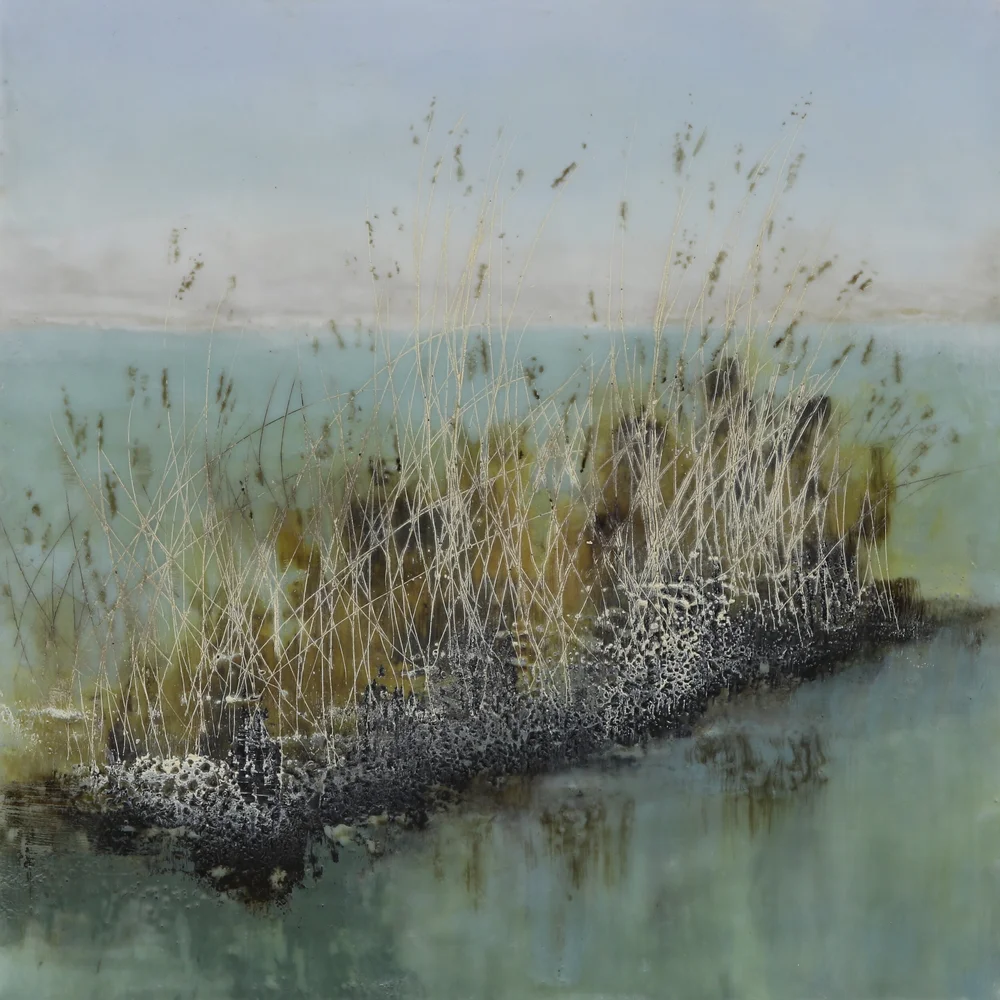 Marshlands — EMMA ASHBY