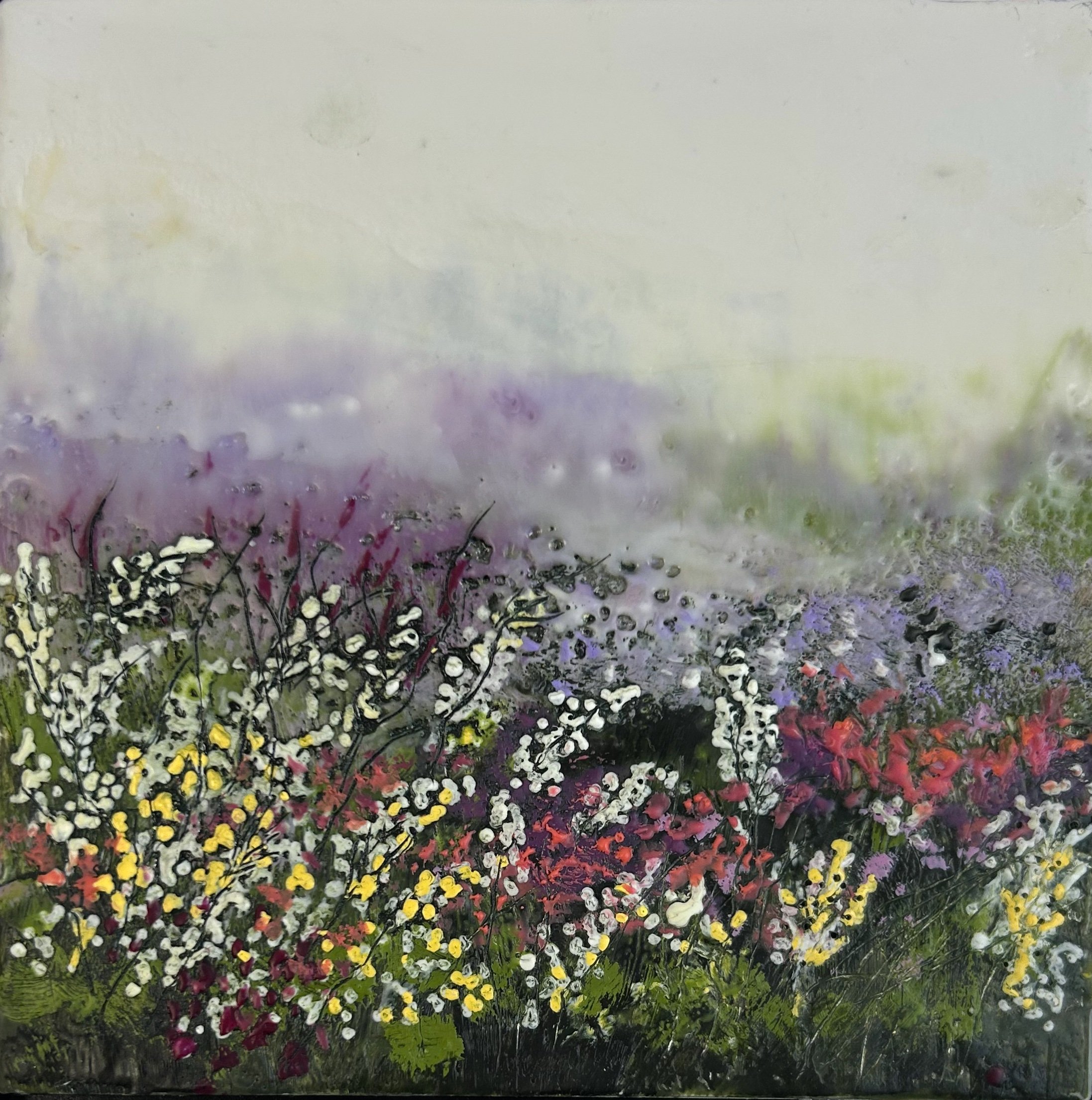 SHOP — EMMA ASHBY