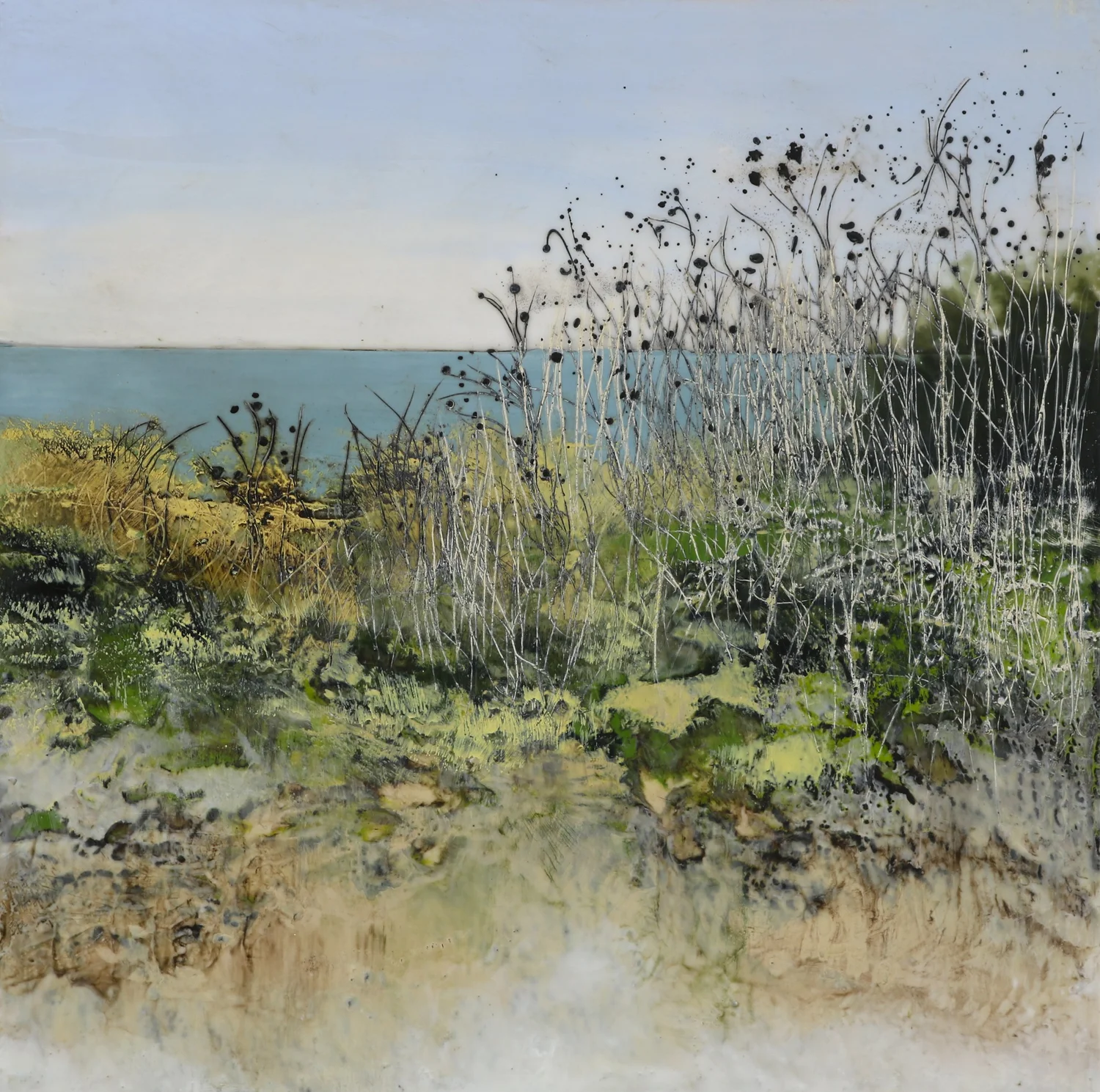 Coastlands — EMMA ASHBY