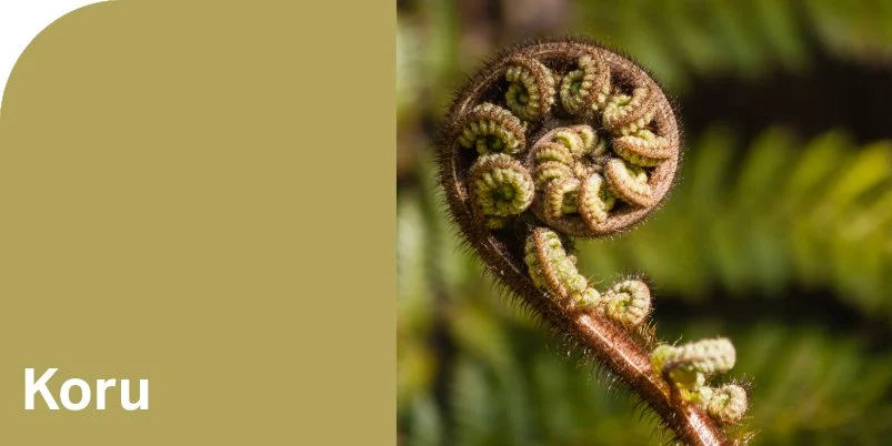 Create HPL —Plytech