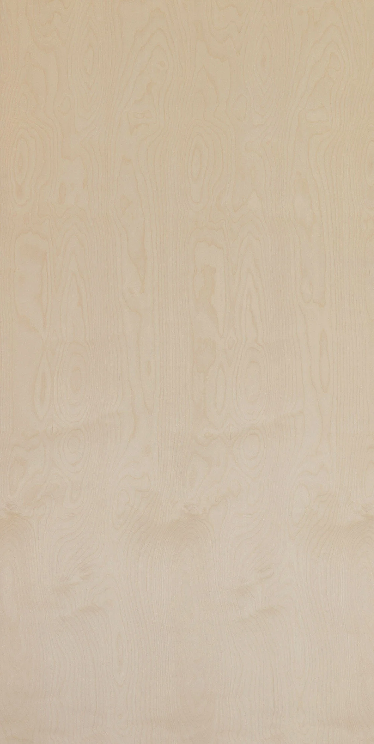 Birch Elite – Lacquered —Plywood Panels Auckland & Christchurch ...