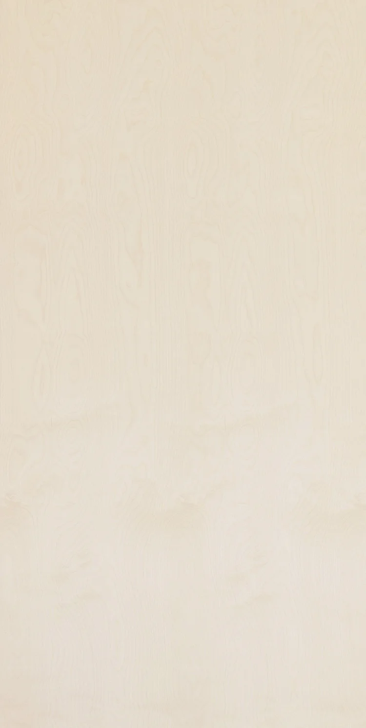 Birch Elite – Lacquered —Plywood Panels Auckland & Christchurch ...
