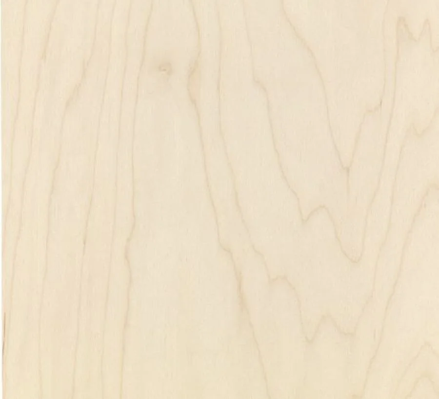 Ambience Maple B/BB —Plytech