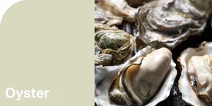 Create HPL —Plytech