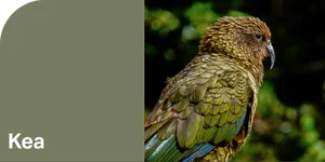 Create HPL —Plytech