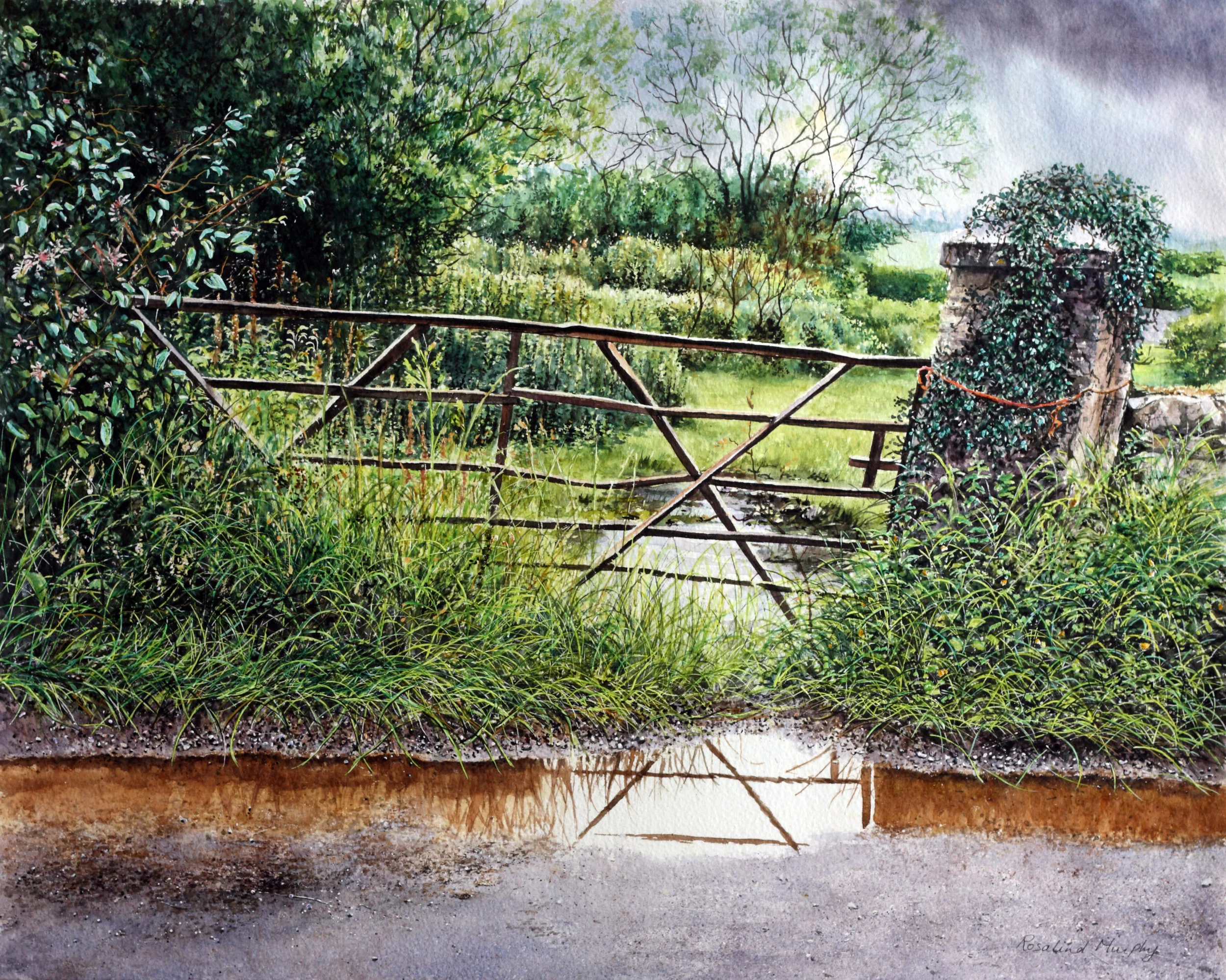 Rosalind Murphypaintings