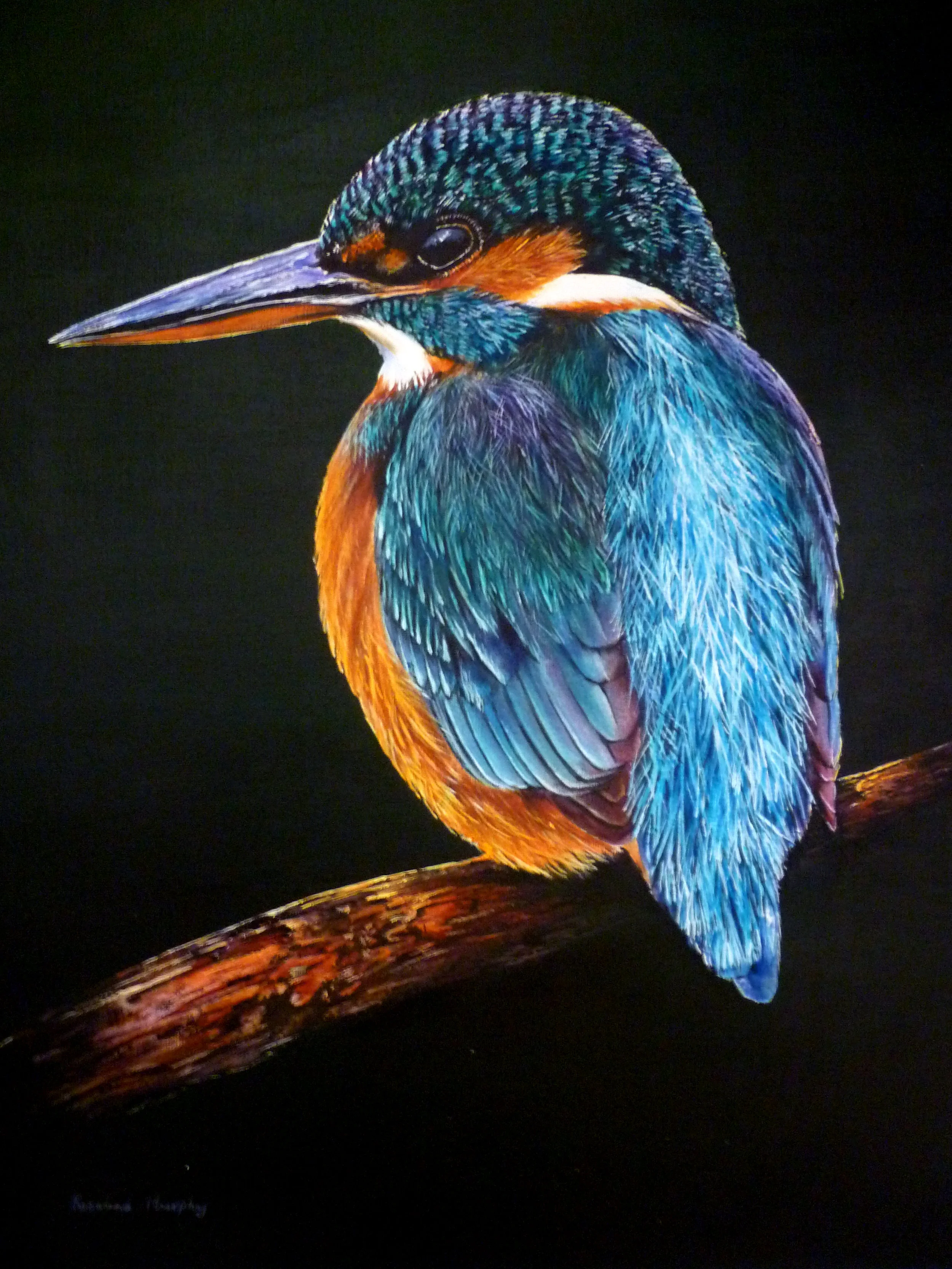 Rosalind Murphypaintings