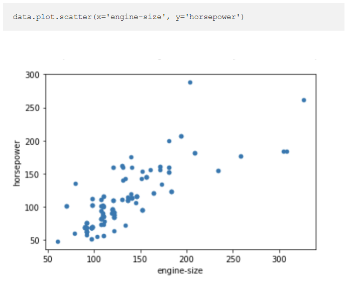 10 Things You Didn’t Know About Pandas — SheCanCode