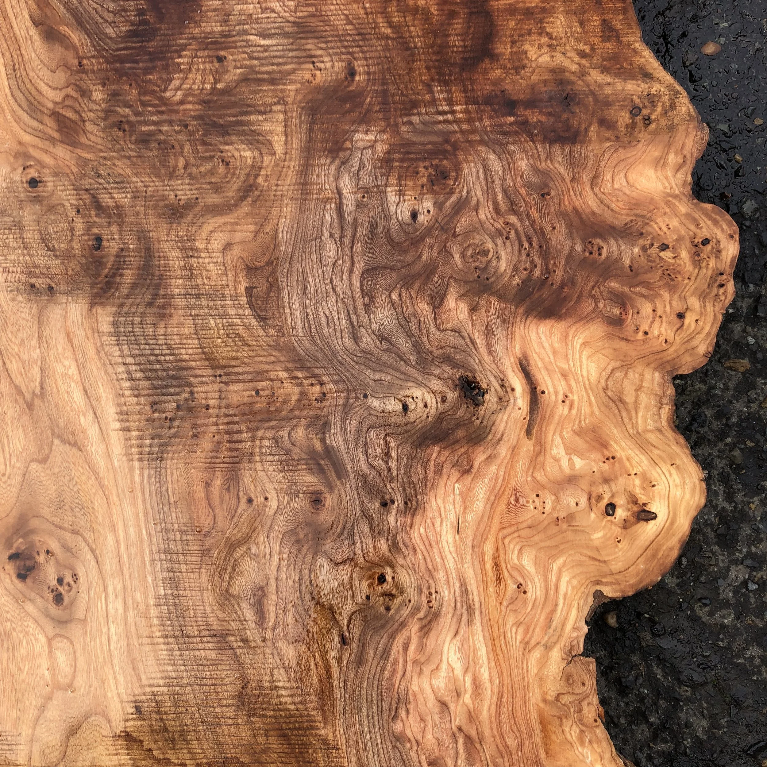 Let me make you a custom piece with these Elm Burl Slabs — Austin ...