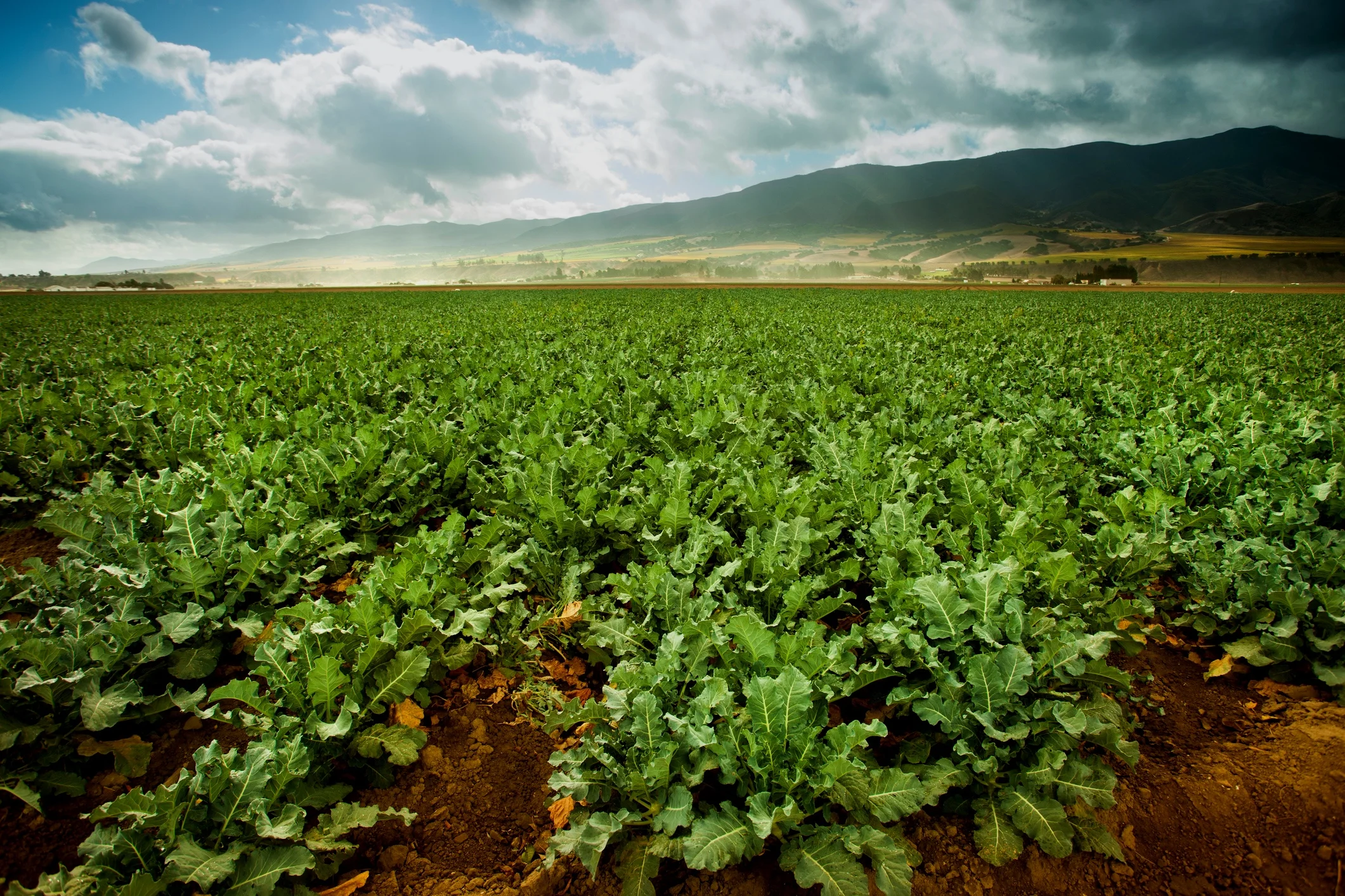 Farm Weather Forecast and Risk Management Services - WeatherMission.com