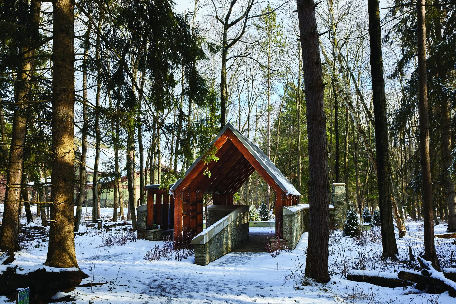 the ANT — in.site:architecture