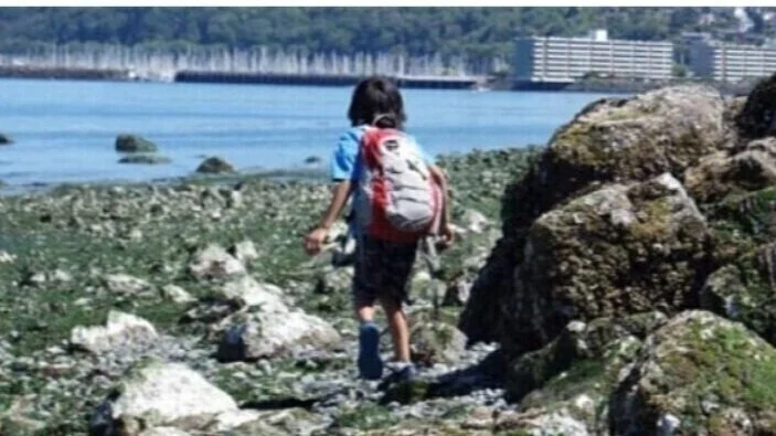 Plan For And Use Phenomena In Your Science Classroom