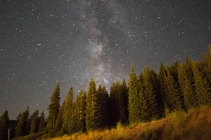 What Is An Anchoring Phenomenon? — Phenomena for NGSS