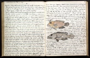 Science Notebooks to Support Meaningful Engagement — Phenomena for NGSS