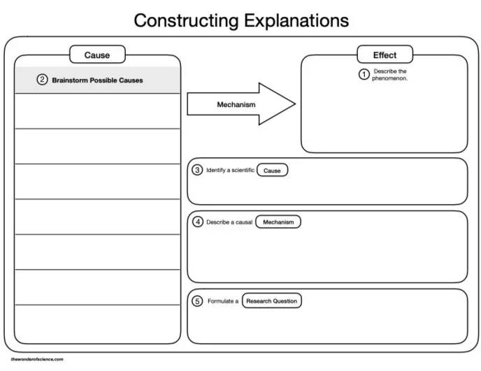 Can Structure and Function Help Us Make Sense — Phenomena for NGSS