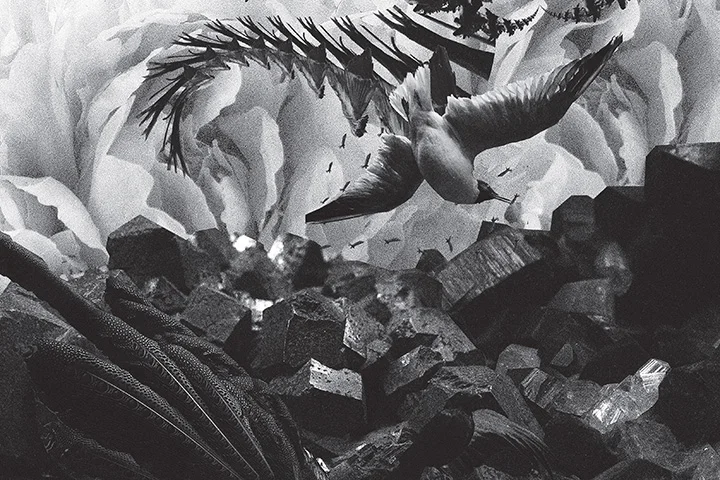 Mujuice - Metamorphosis album — DESIGNCOLLECTOR