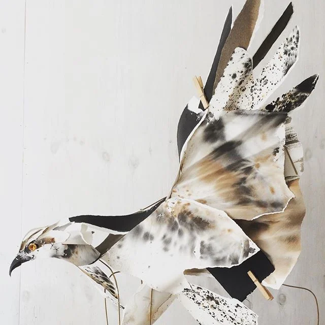 Paper Sculptures of Anna-Wili Highfield — DESIGNCOLLECTOR