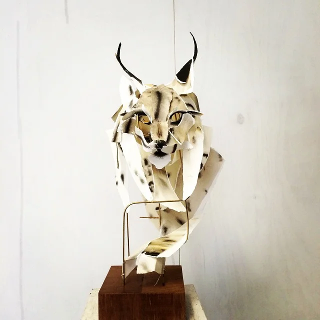 Paper Sculptures of Anna-Wili Highfield — DESIGNCOLLECTOR
