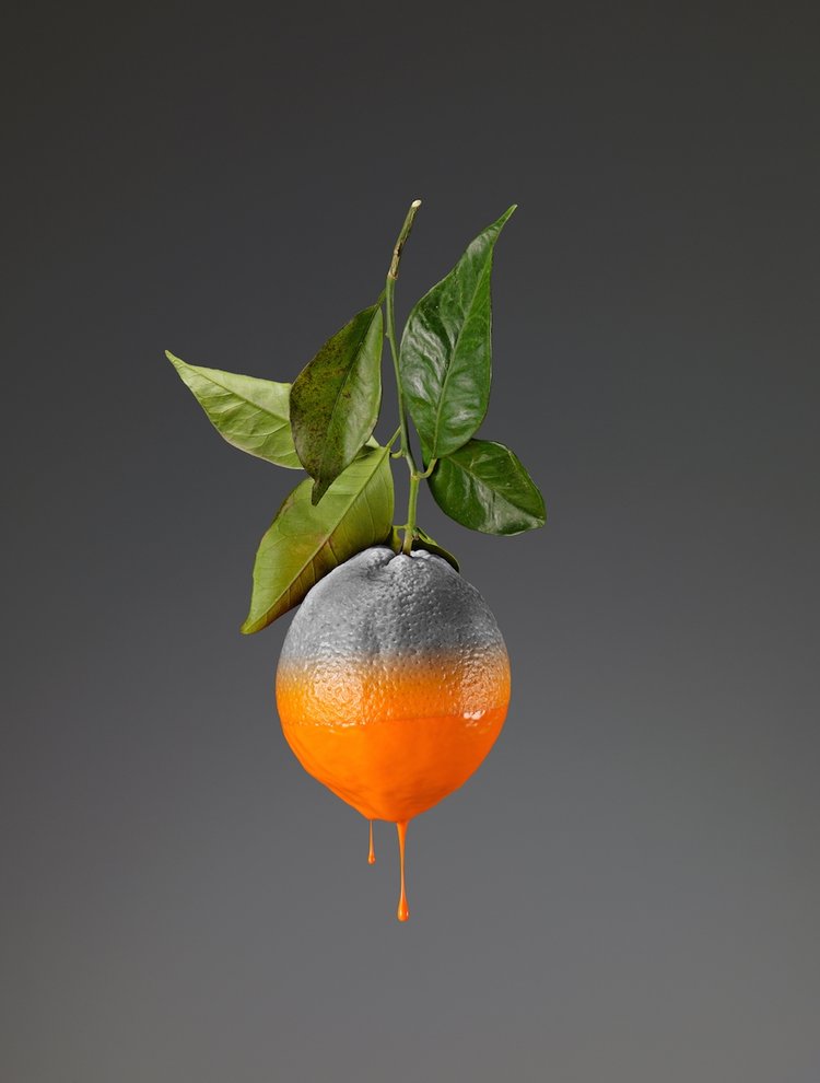 Colors by Giorgio Cravero — DESIGNCOLLECTOR
