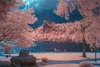 Infrared Nature in GMUNK photography — DESIGNCOLLECTOR