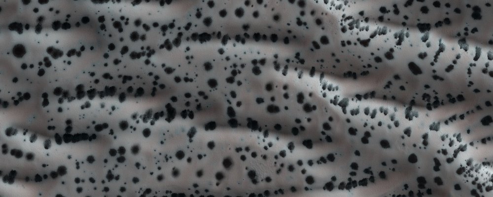 DESIGNCOLLECTOR — Network