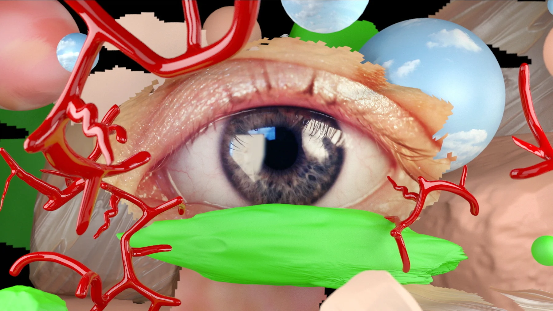 The Rodina — DESIGNCOLLECTOR