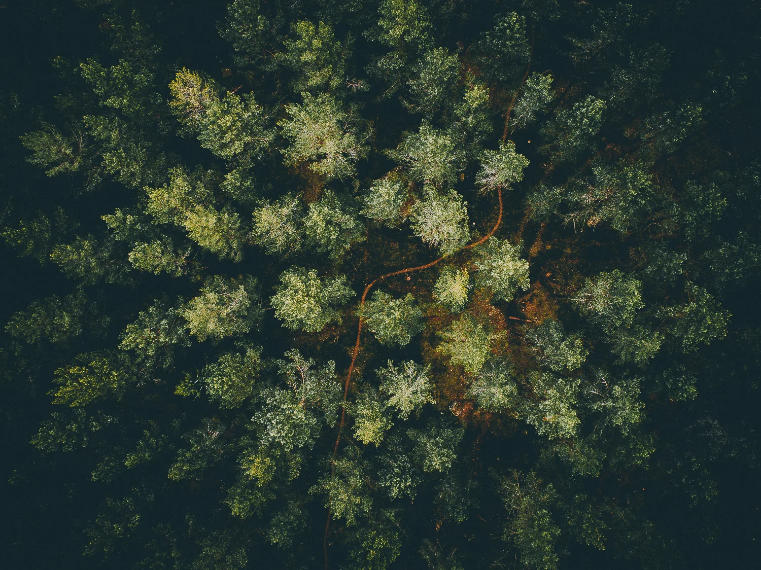 Airpixels — DESIGNCOLLECTOR