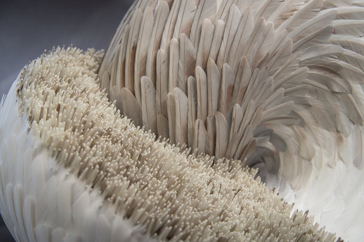 Kate MccGwire — Designcollector