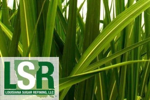 LSR Control Room — Regal