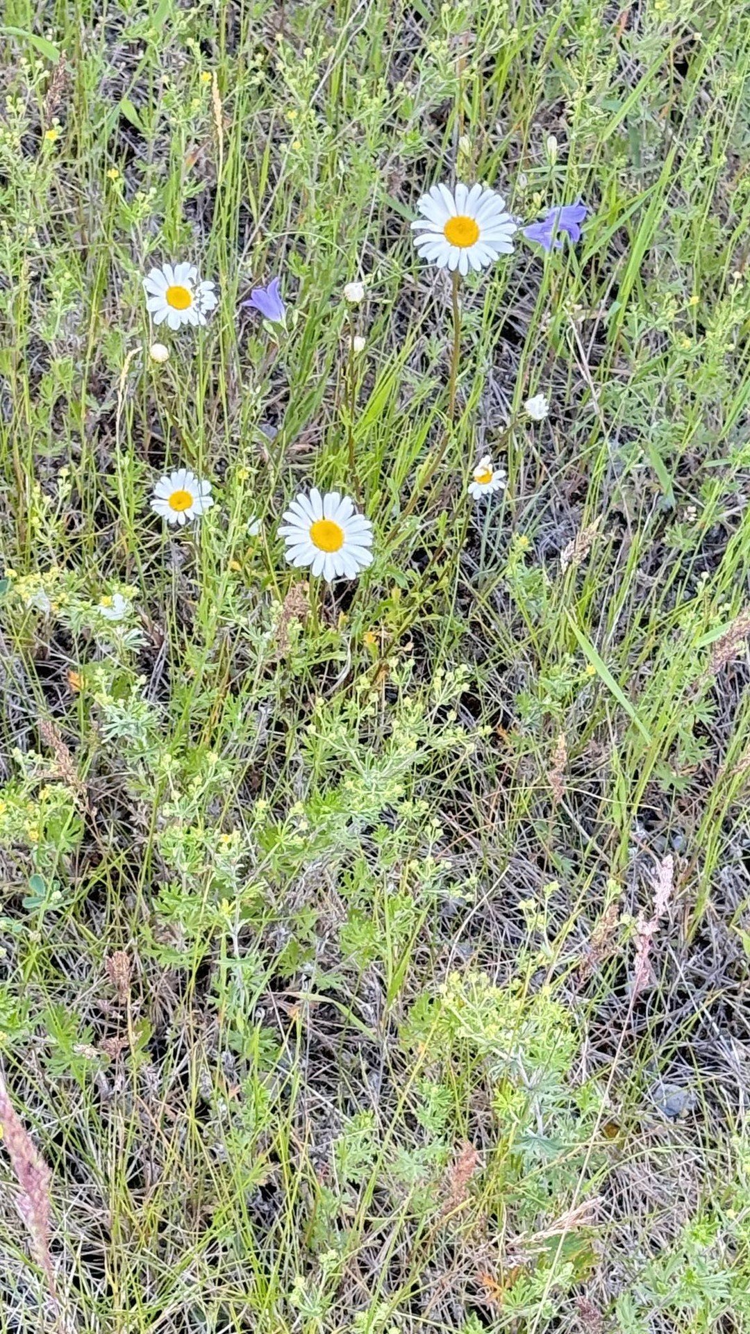 The 3 Ways an Interior Designer Charges for their Fees - Articulated ...