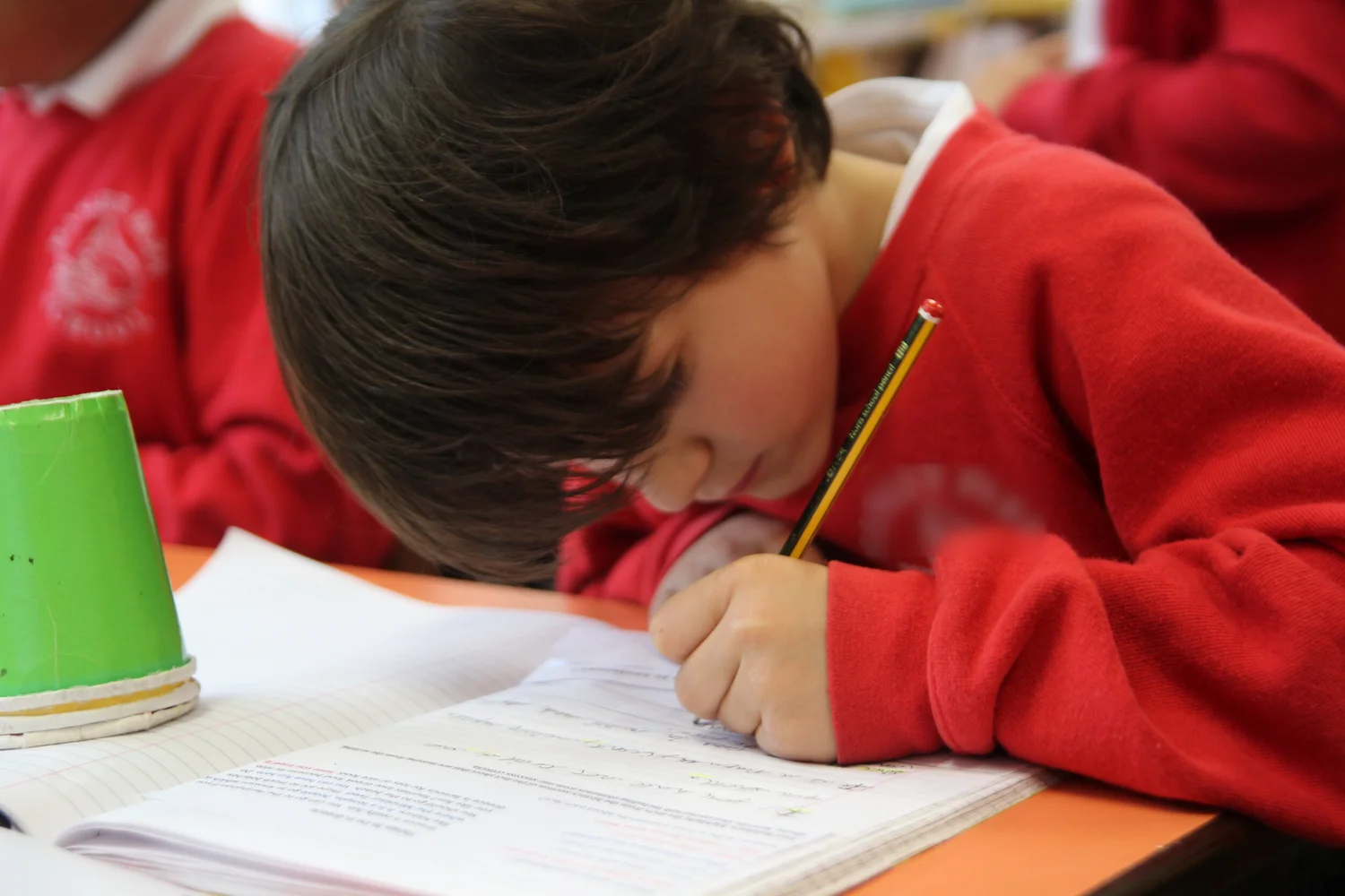 Using P4C in Literacy - Topsy Page