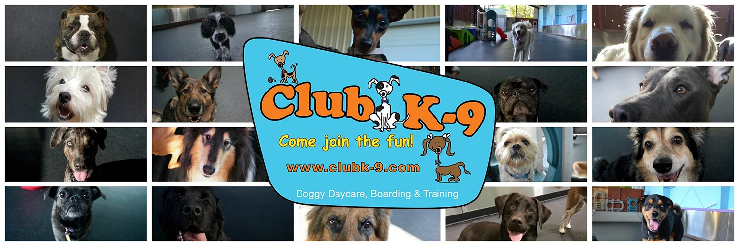 Welcome to Club K-9 – Day Care Center for Dogs in Lake Oswego, OR ...