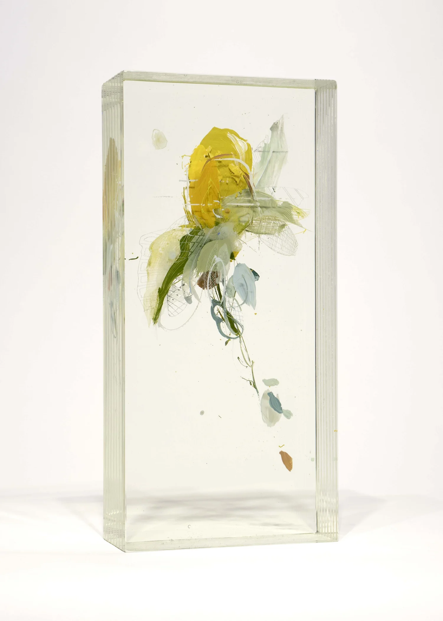 2022 — Bronson Shonk