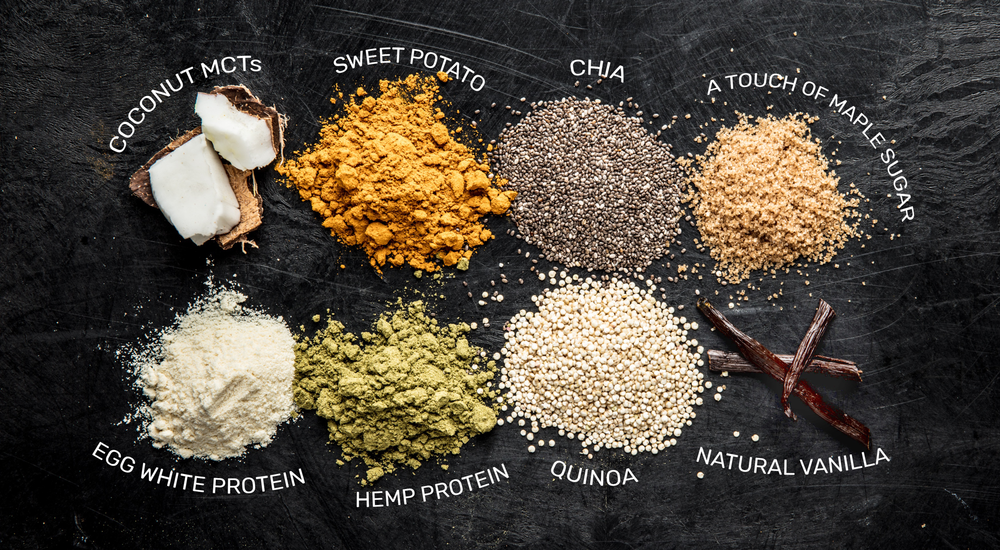 Review: Warrior Meal is a New Kind of Protein Shake - Fittest Travel