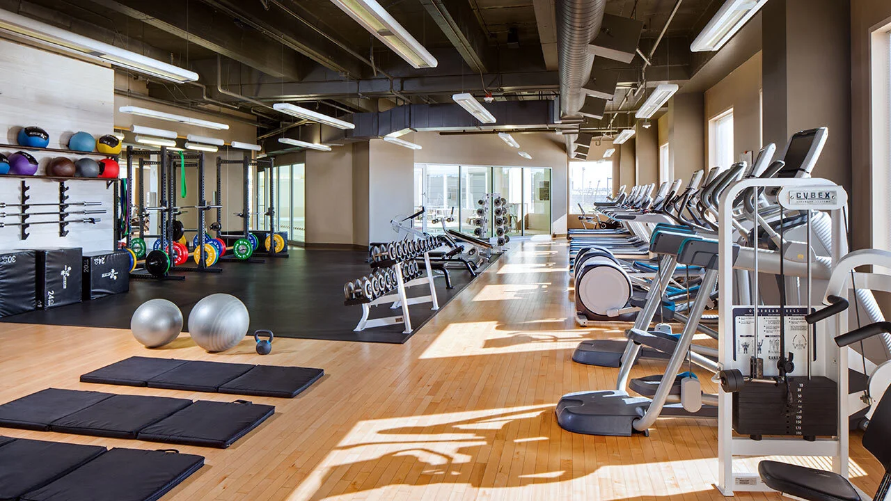 The Complete List of Hotel Gyms with Squat Racks - Fittest Travel