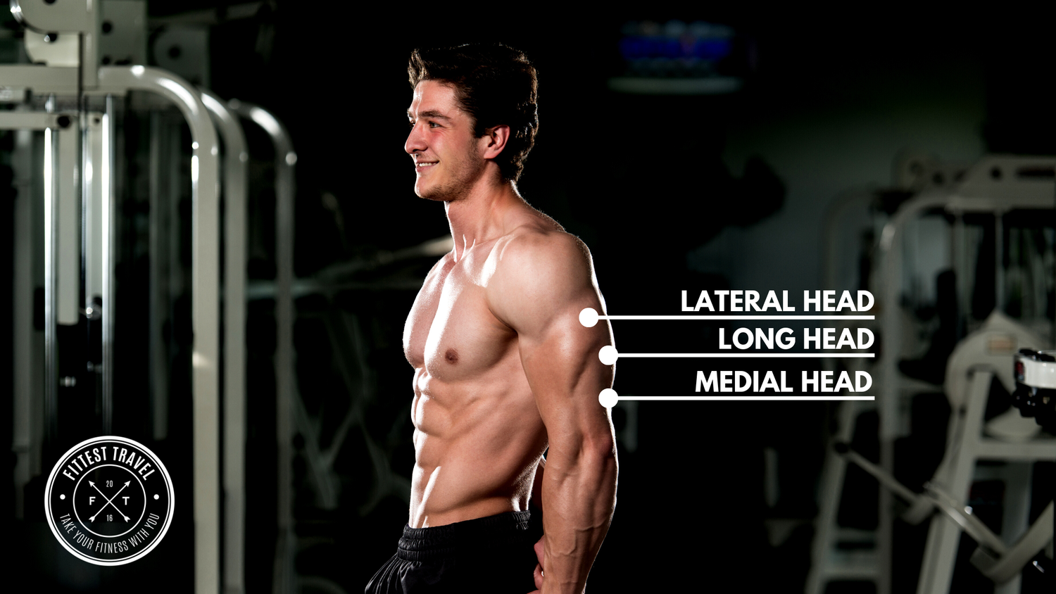 5 Tricep Workouts with Only Dumbbells - Fittest Travel