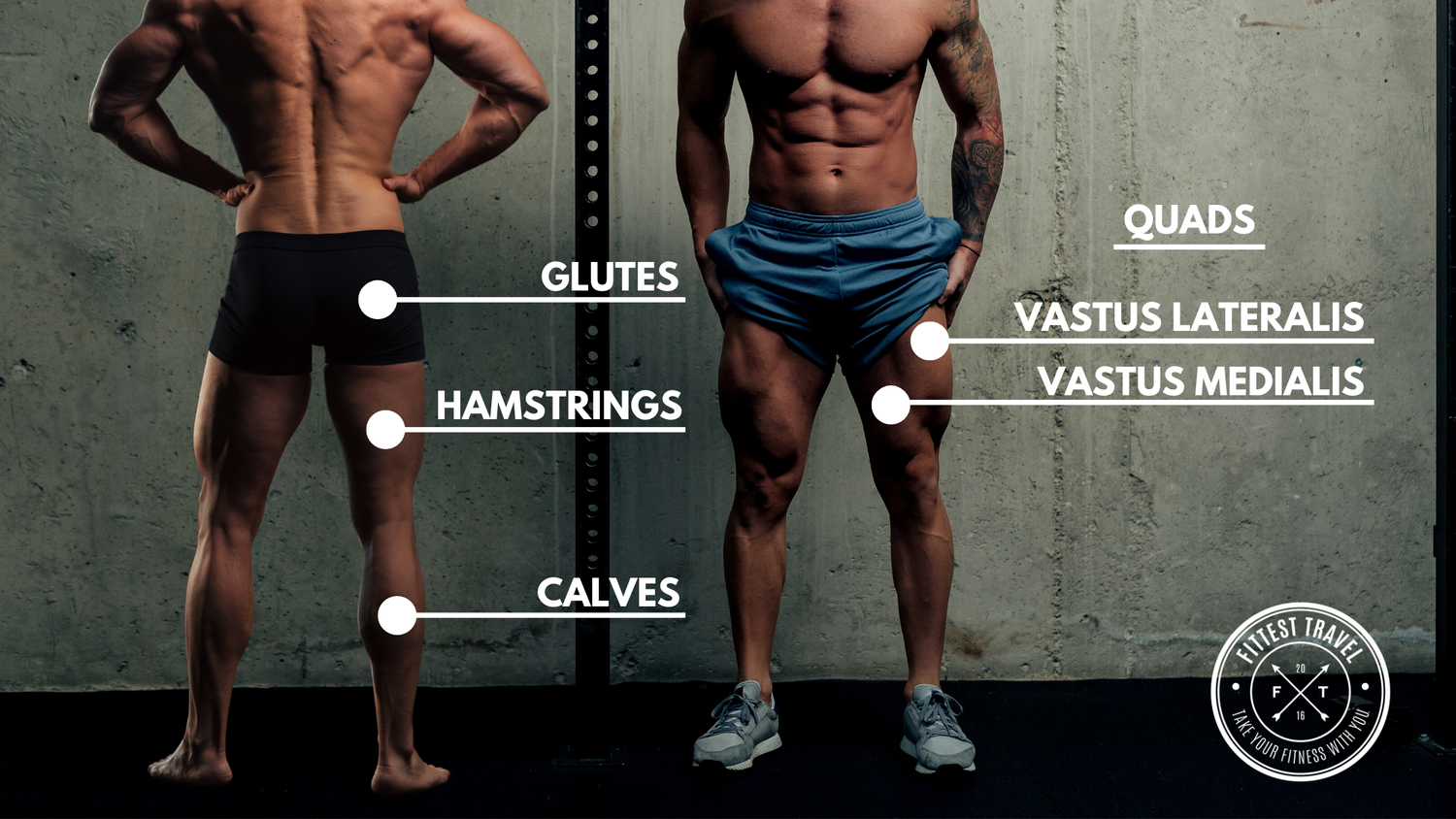 5 Lower Body Dumbbell Workouts for Big Legs - Fittest Travel