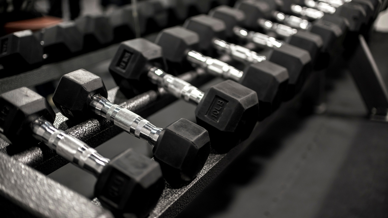 The 15 Best Hotel Gym Workouts - Fittest Travel