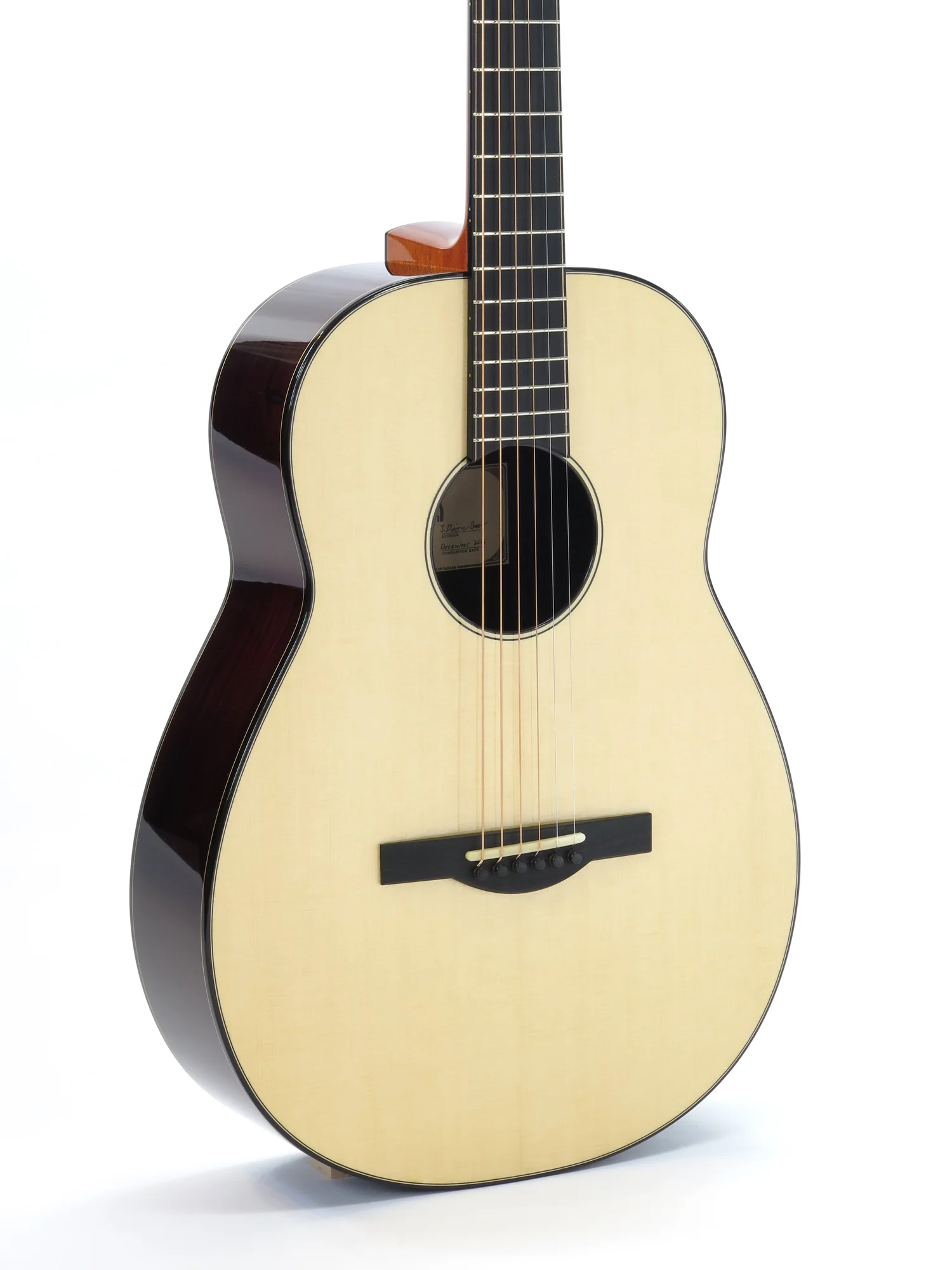 MODELS — Dion Guitars