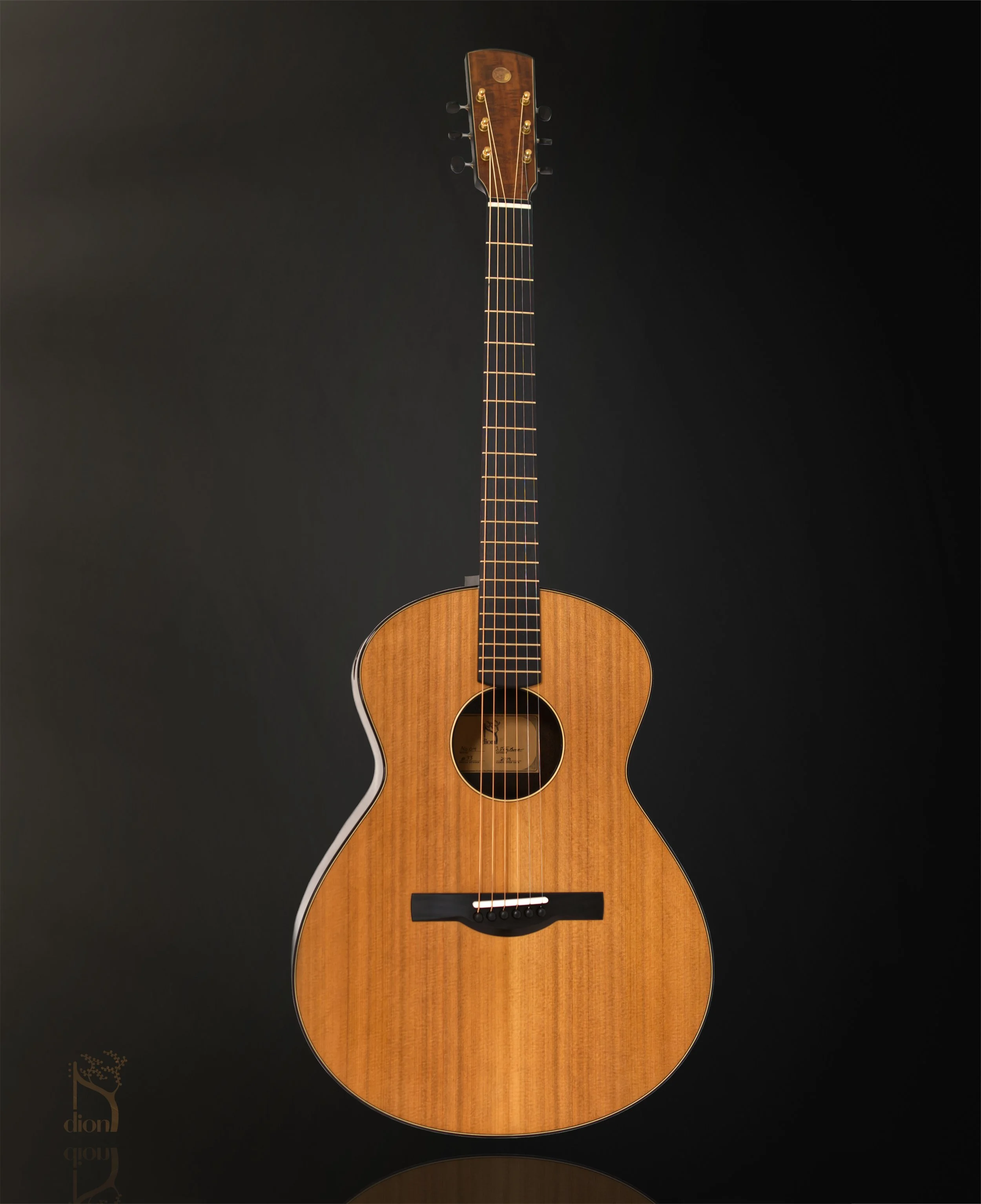 4 — Dion Guitars