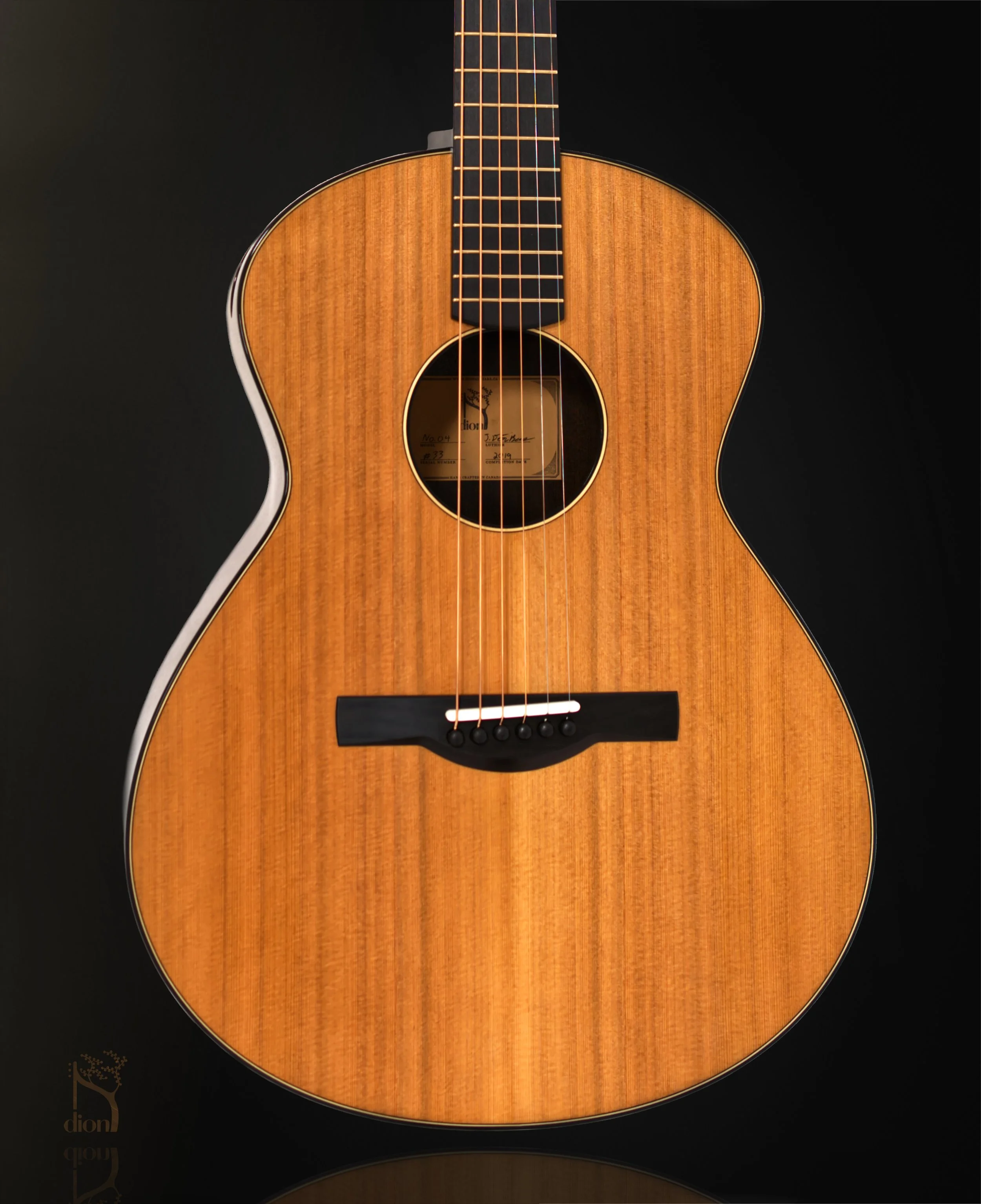 MODELS — Dion Guitars