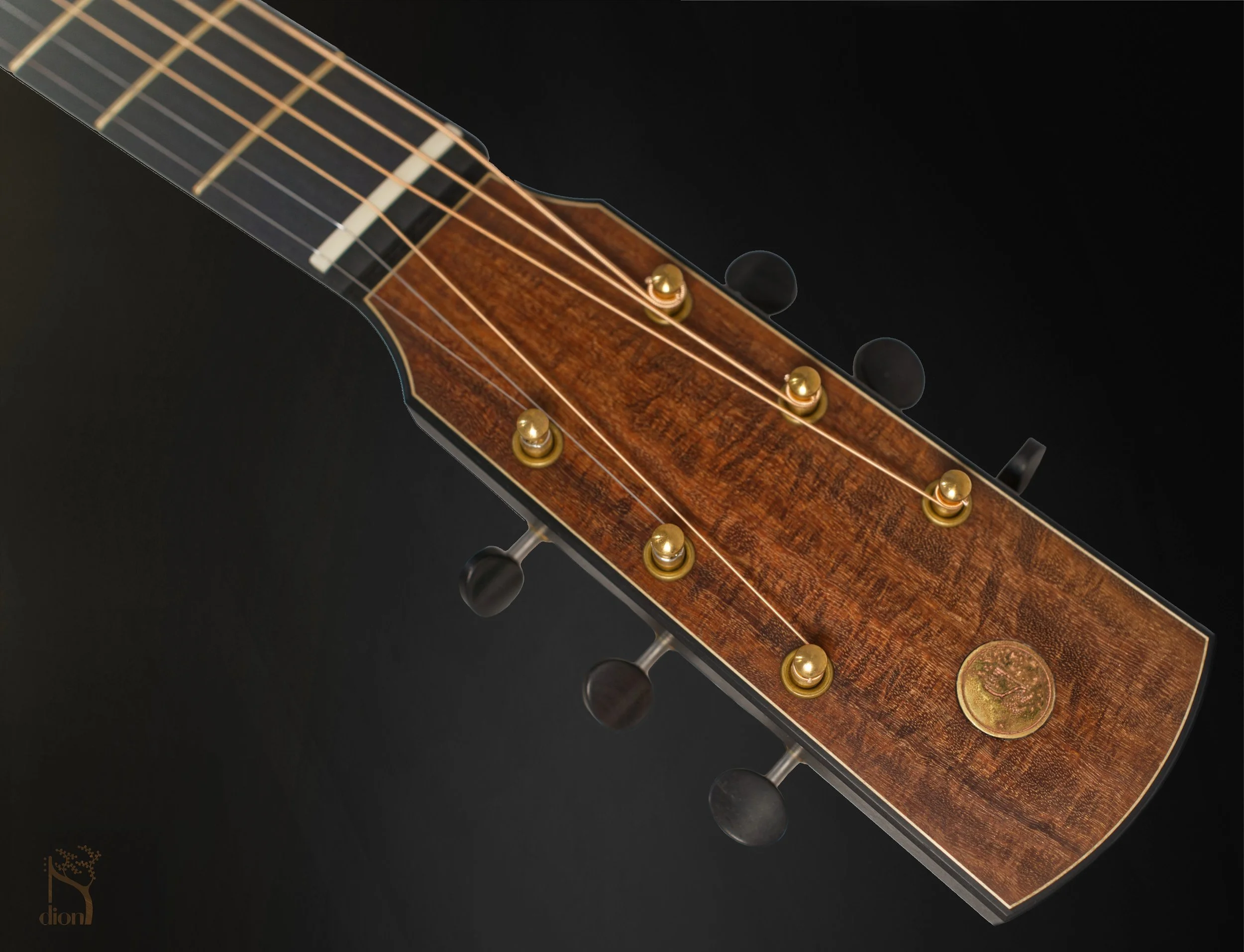 4 — Dion Guitars